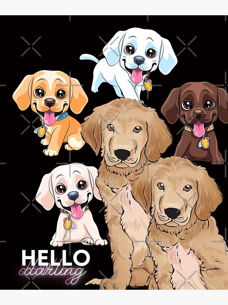 "kooiker kooiker kooiker really good ,sheliya kooiker really good ...