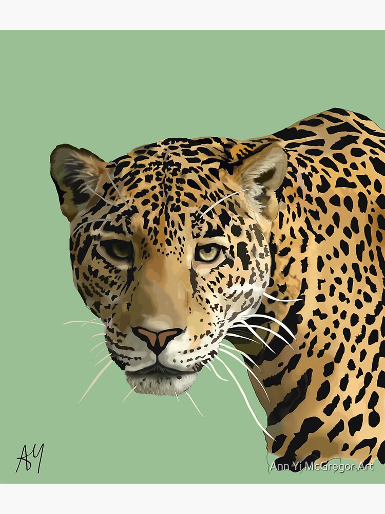 "Jaguar" Sticker for Sale by AnnYi | Redbubble