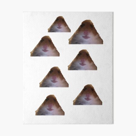 "Hamster Staring Meme" Art Board Print for Sale by rhdmt | Redbubble