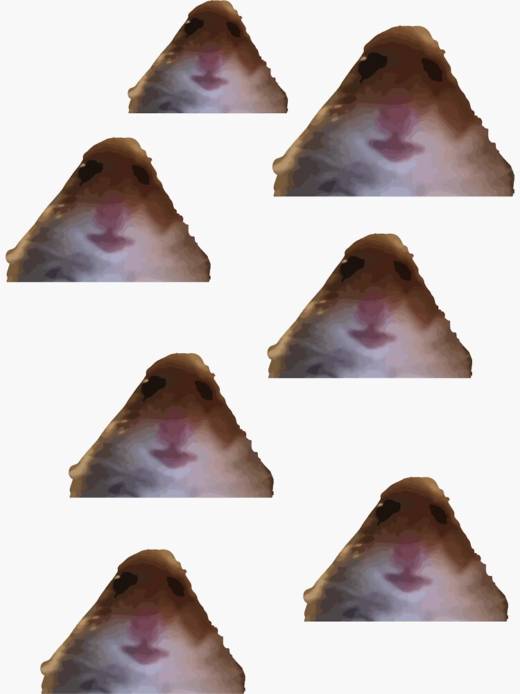 "Hamster Staring Meme" Sticker for Sale by rhdmt | Redbubble
