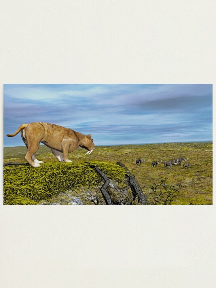"Saber Tooth Tiger and Columbian Mammoth" Photographic Print by ...