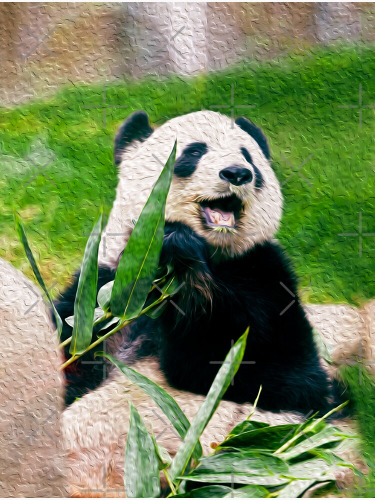 "Panda Laughing" Sticker for Sale by friendlyfauna | Redbubble