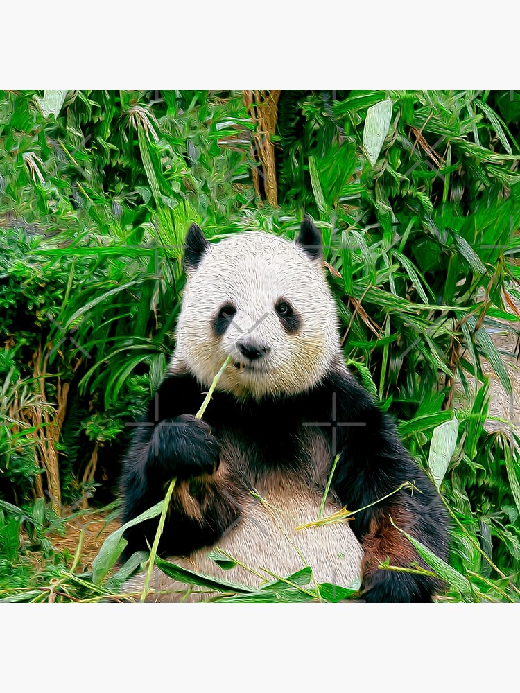 "Panda Chewing Bamboo" Poster for Sale by friendlyfauna | Redbubble