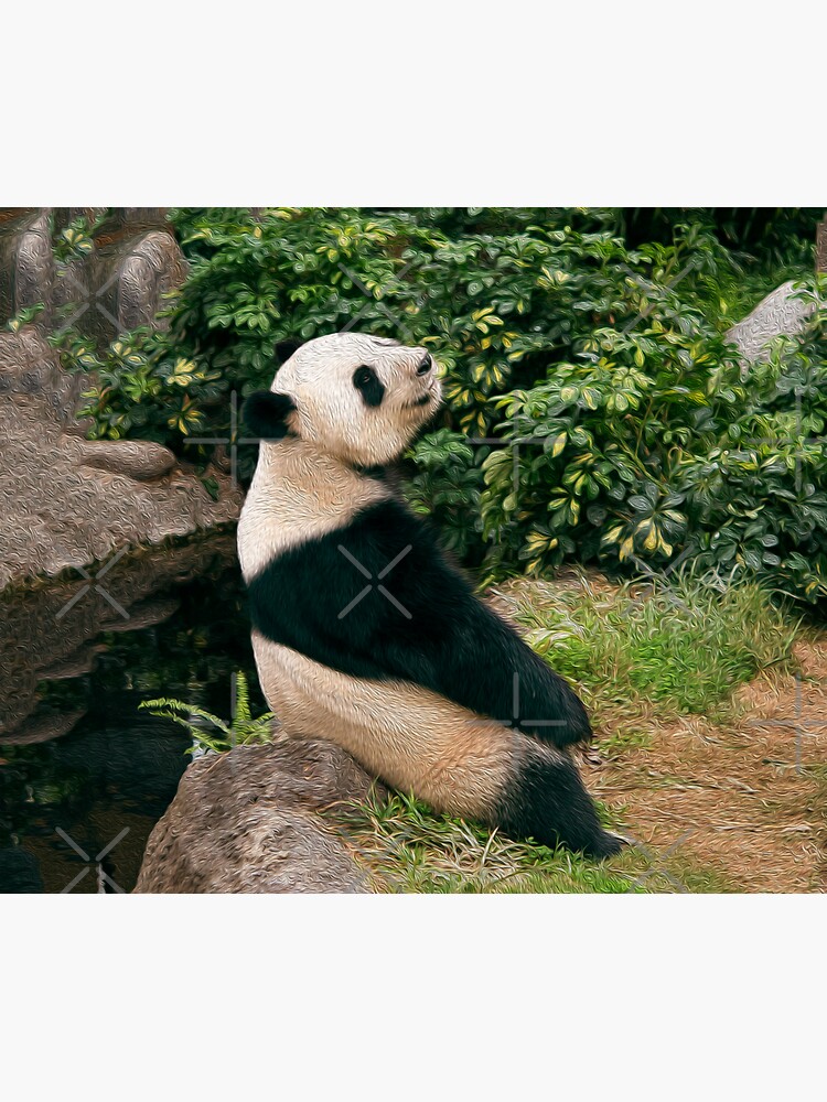 "Panda Sitting" Sticker for Sale by friendlyfauna | Redbubble