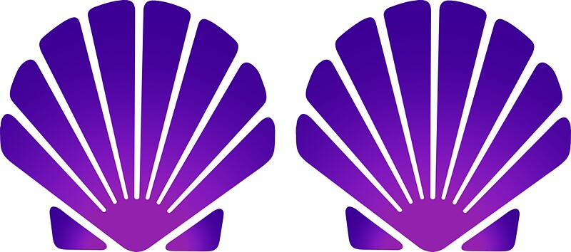 Cartoon Seashell Bra