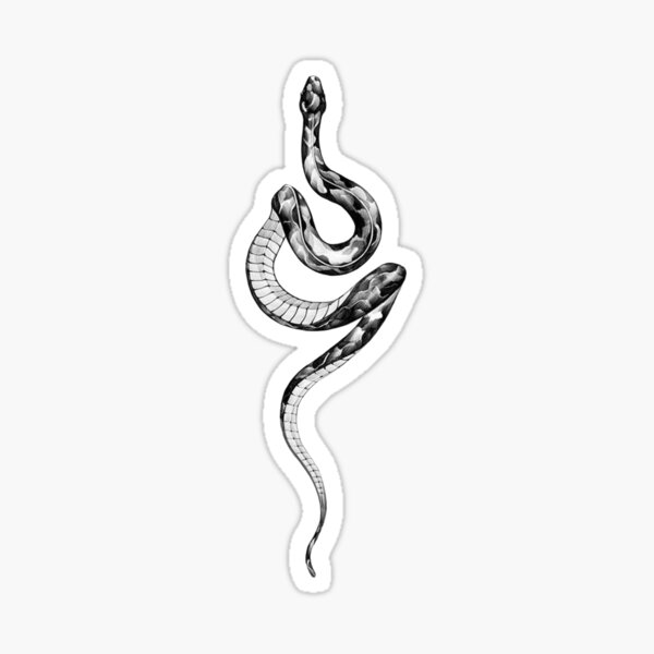 "Snake" Sticker for Sale by TATAKAEE | Redbubble