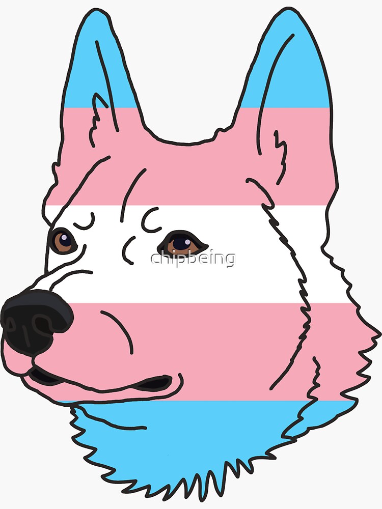 "Trans Pride Dog" Sticker for Sale by chipbeing | Redbubble