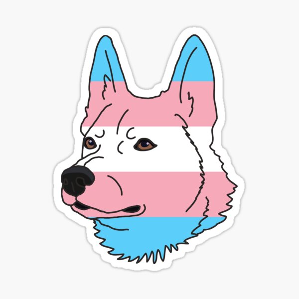 "Trans Pride Dog" Sticker for Sale by chipbeing | Redbubble