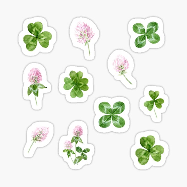 "Watercolor Green Clover Leaves and Clover Flowers" Sticker for Sale by ...
