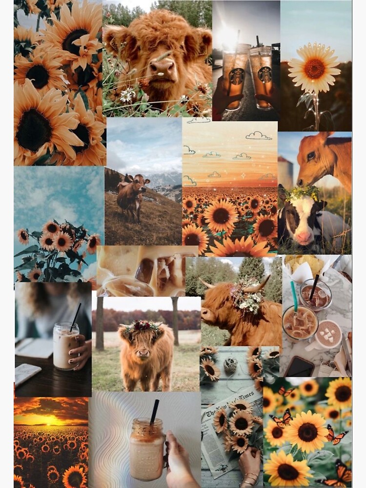 "Country aesthetic " Sticker for Sale by Dizzzyyyy | Redbubble