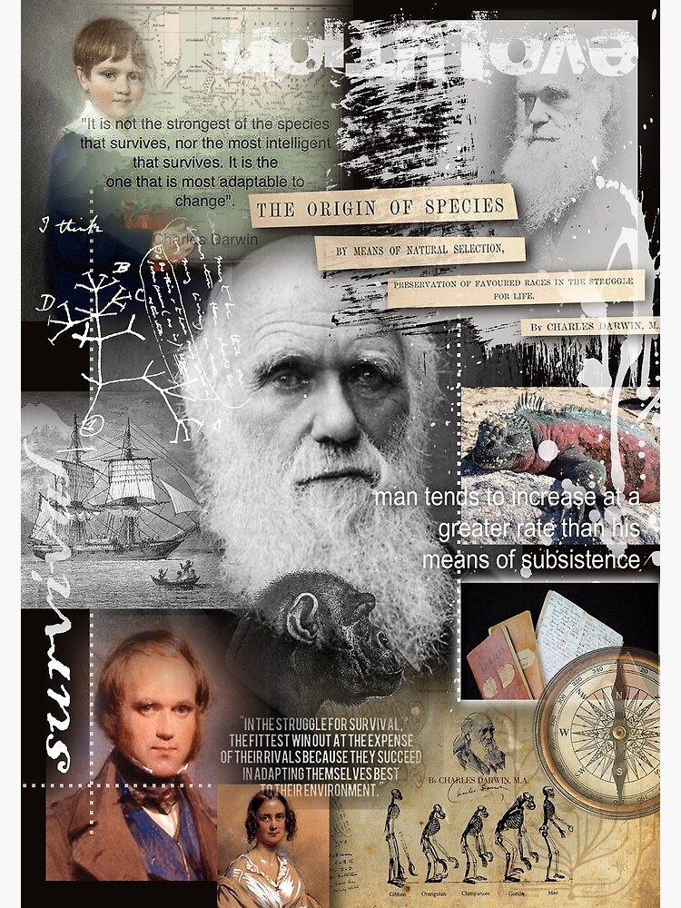 "charles darwin" Poster for Sale by arteology | Redbubble