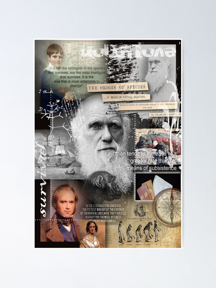 "charles darwin" Poster for Sale by arteology | Redbubble