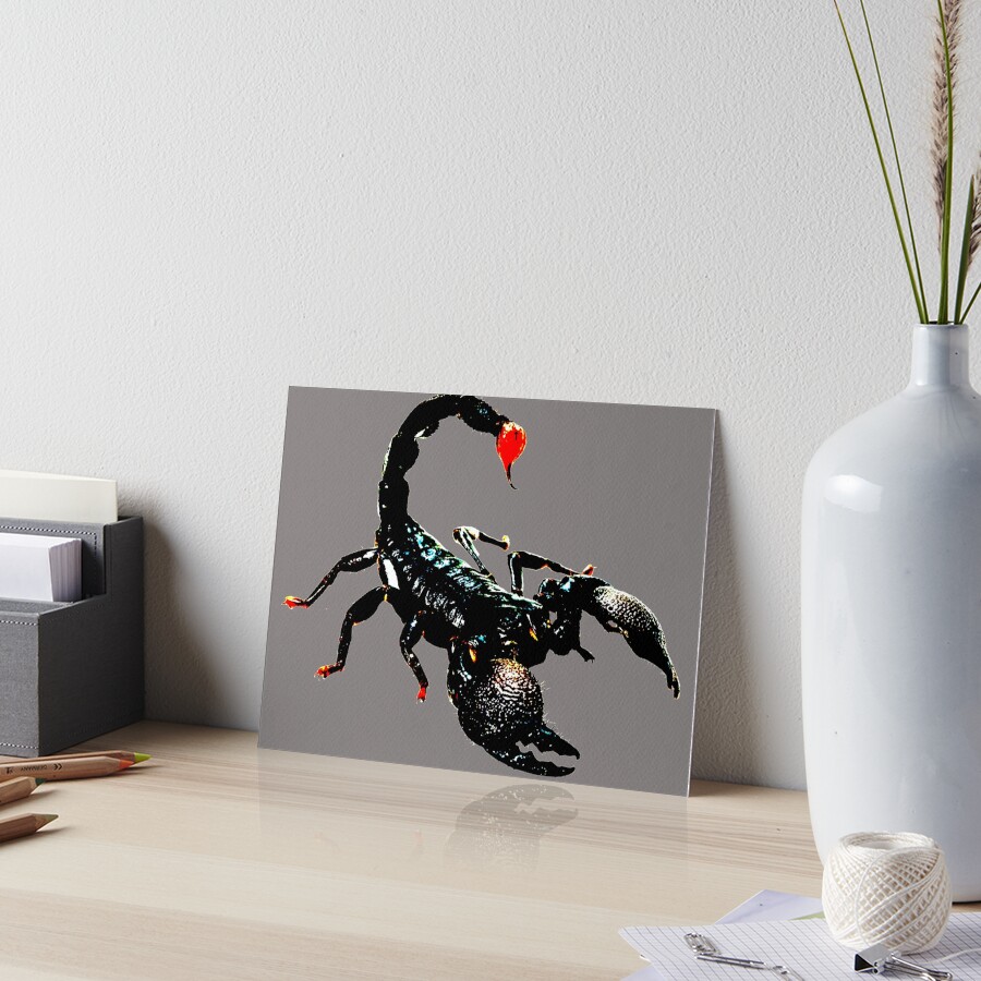 "Scorpion" Art Board Print for Sale by SamuelMolina | Redbubble