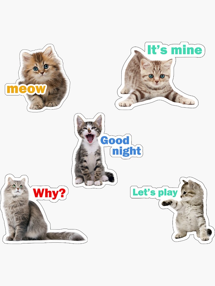 "cat meme sticker pack of 5" Sticker for Sale by suzysplace | Redbubble