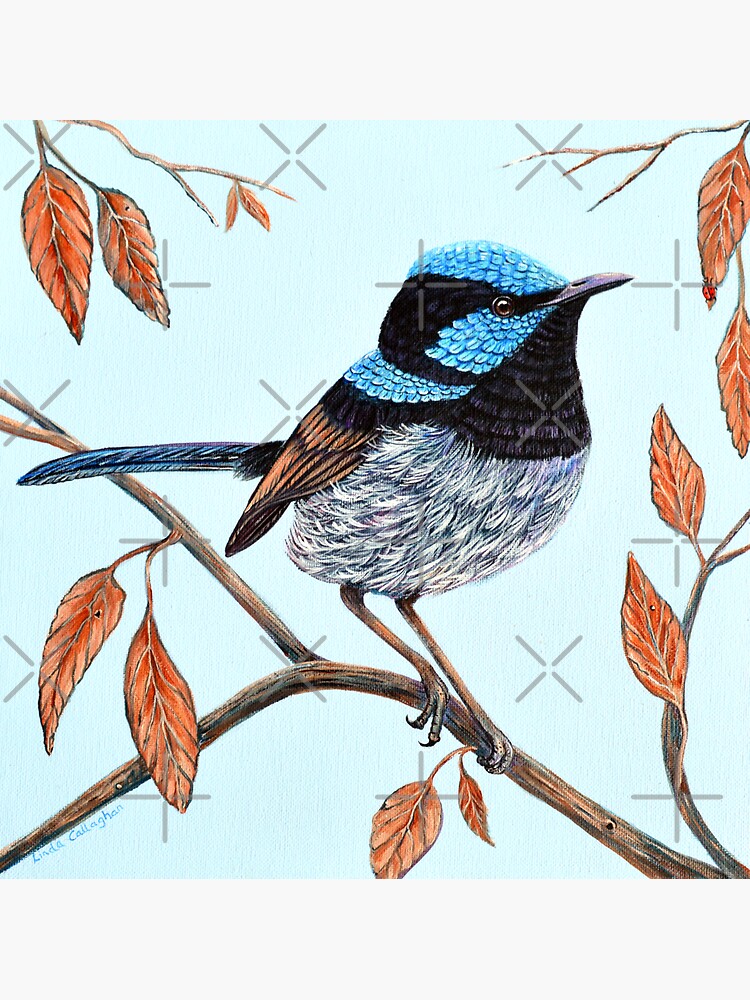 "Fairy Wren" Sticker for Sale by LindArt1 | Redbubble