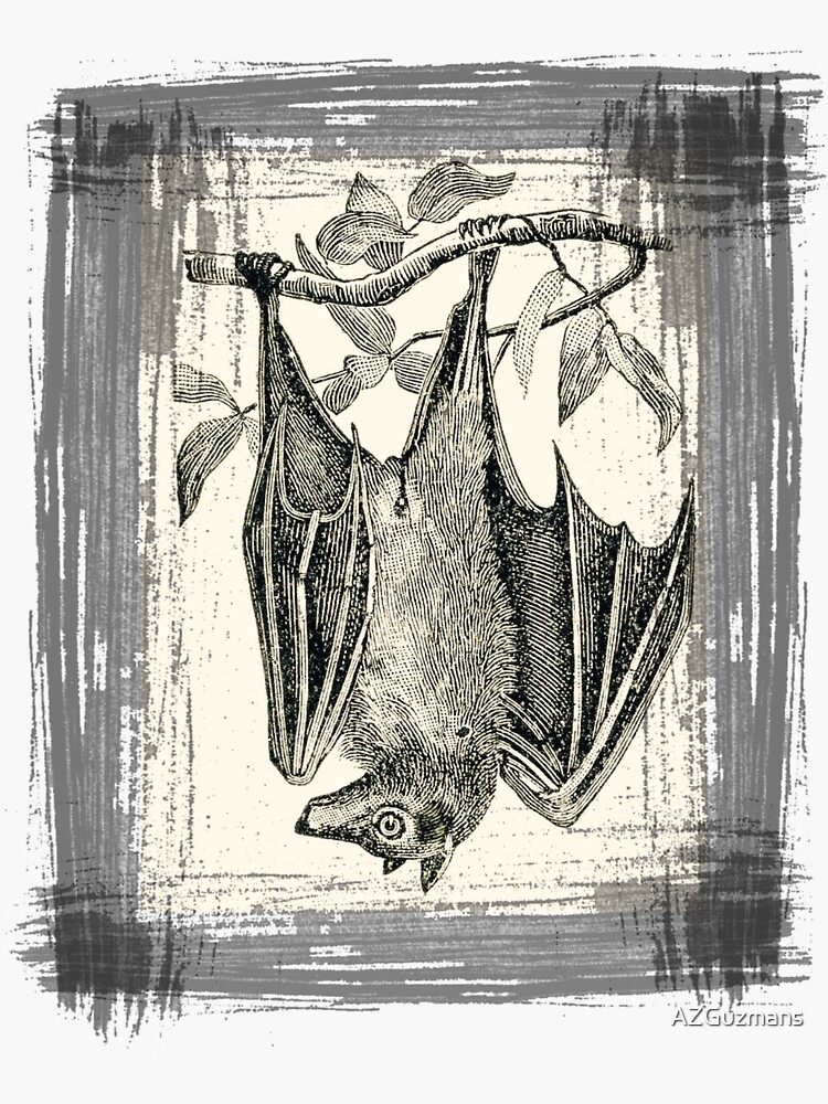 "Vampire Bat Black White Sketch Vintage" Sticker for Sale by AZGuzmans ...