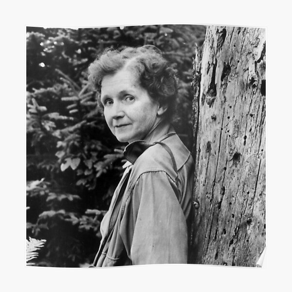 "Rachel Carson" Poster for Sale by bla47 | Redbubble