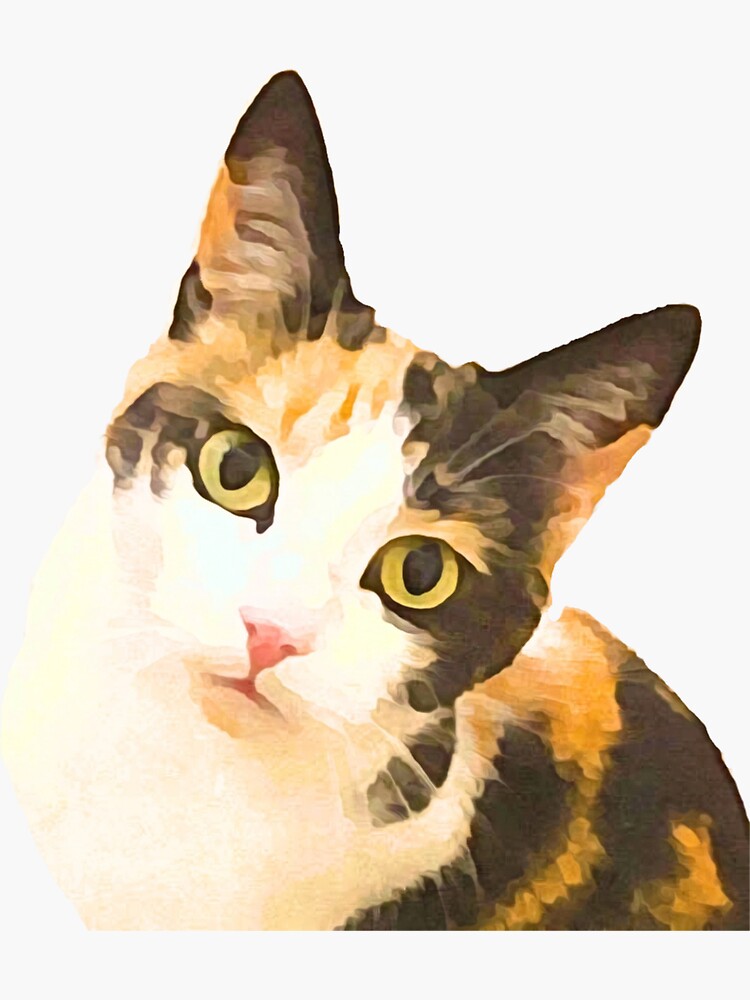 "Cali Cat" Sticker for Sale by no1stickershop | Redbubble