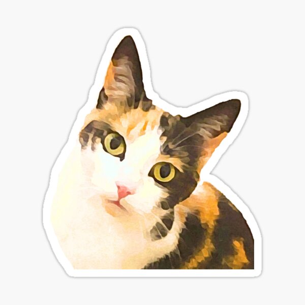"Cali Cat" Sticker for Sale by no1stickershop | Redbubble