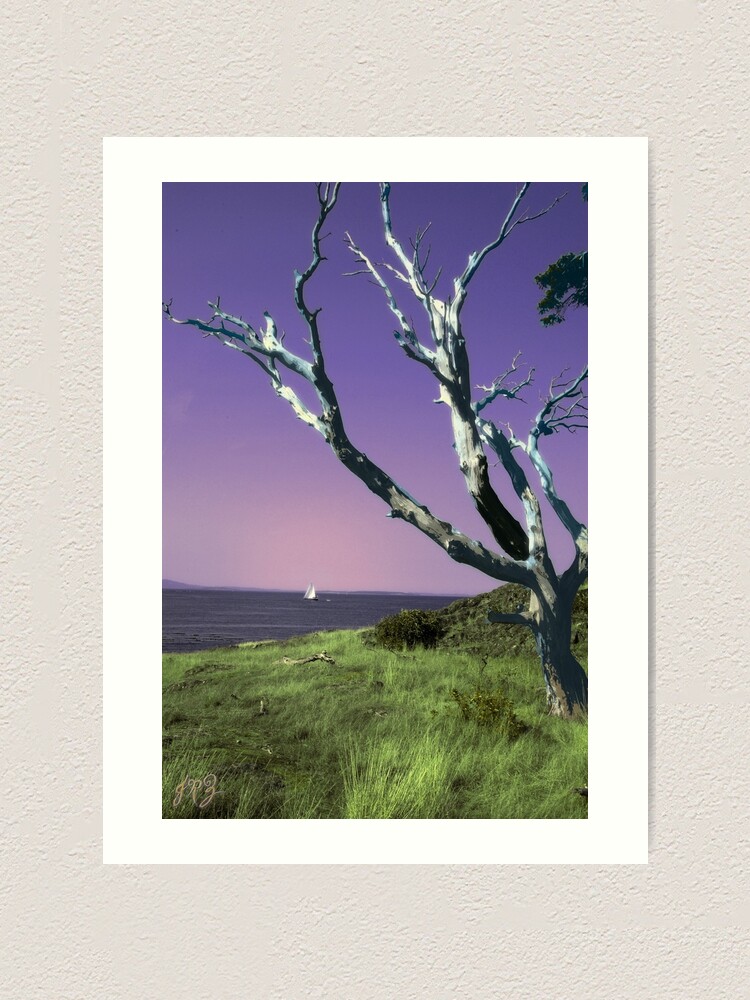 "Desolate Tree (colorized)" Art Print for Sale by MasterJames | Redbubble