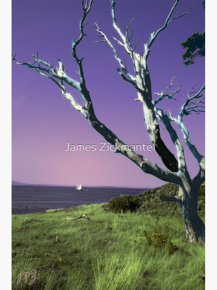 "Desolate Tree (colorized)" Sticker for Sale by MasterJames | Redbubble