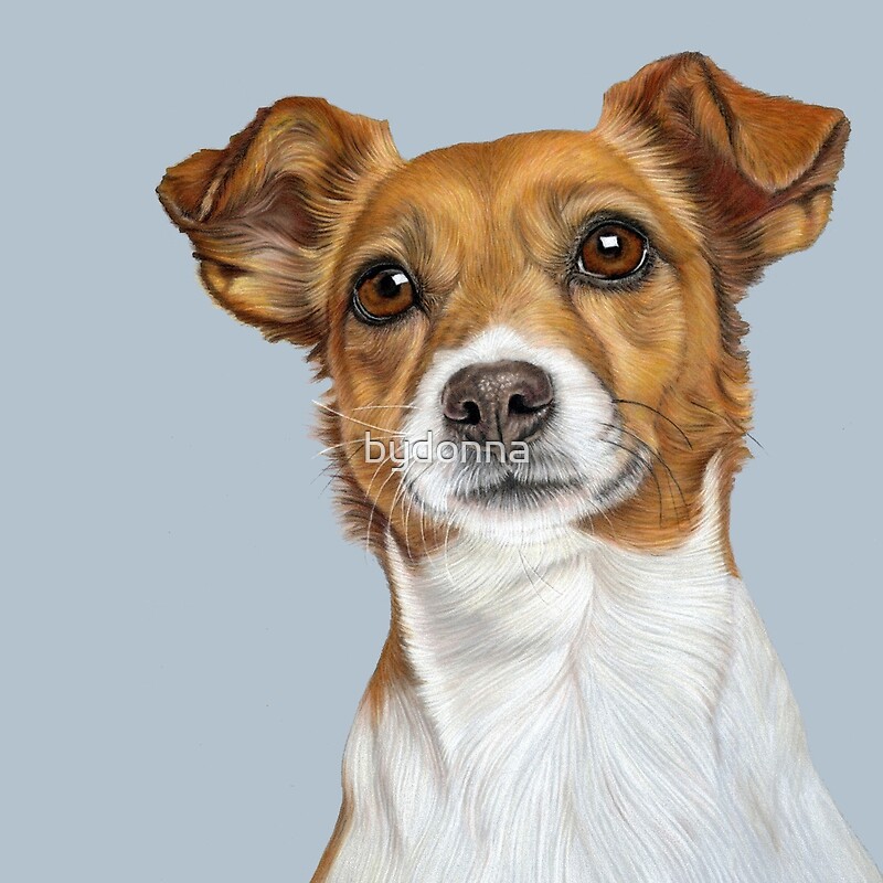 "Jack Russell Terrier " by bydonna | Redbubble