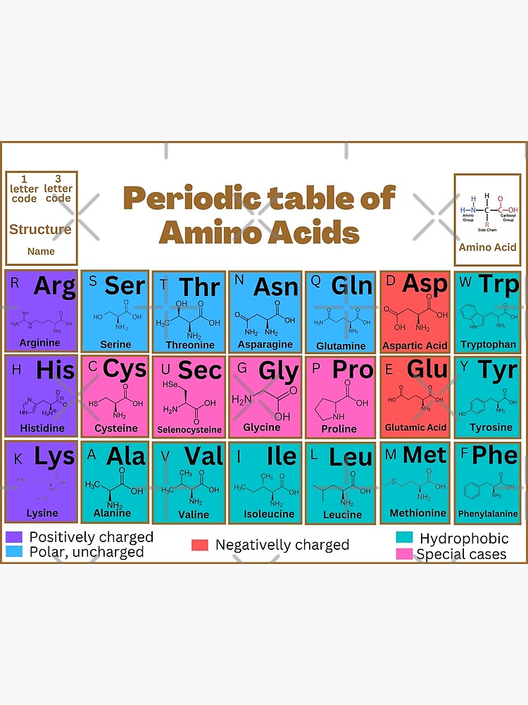 "Periodic table of amino acids white background" Poster for Sale by ...