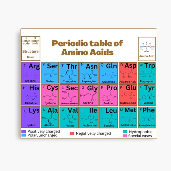 "Periodic table of amino acids white background" Canvas Print for Sale ...