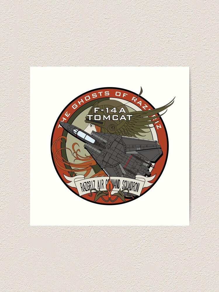"F-14A Tomcat Razgriz Squadron" Art Print for Sale by fareast | Redbubble