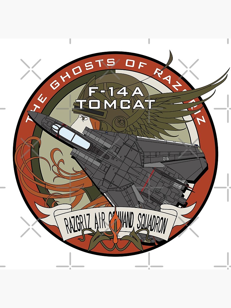 "F-14A Tomcat Razgriz Squadron" Art Print for Sale by fareast | Redbubble