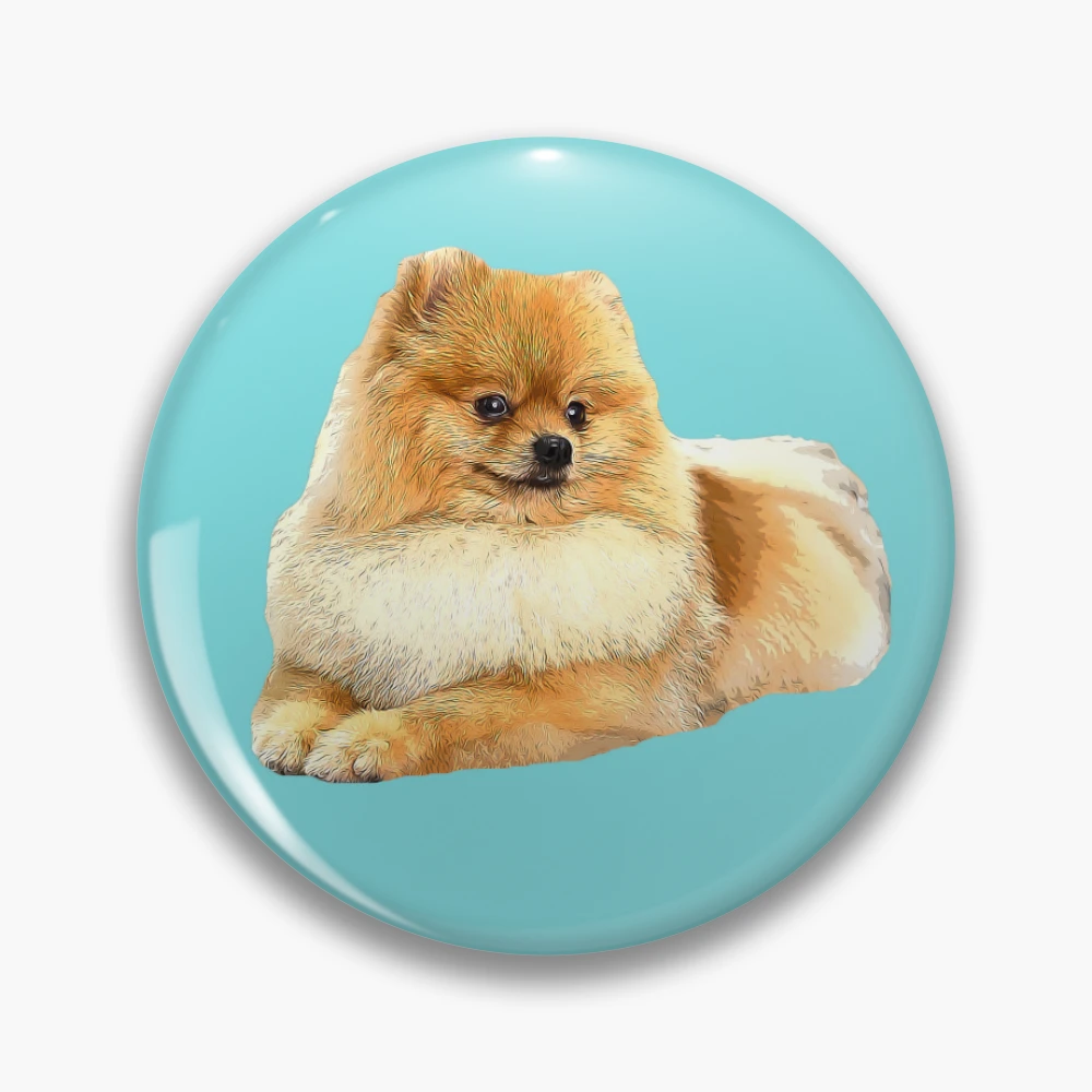 Pin Pomeranian Dog On Peanut Butter The Pomeranian