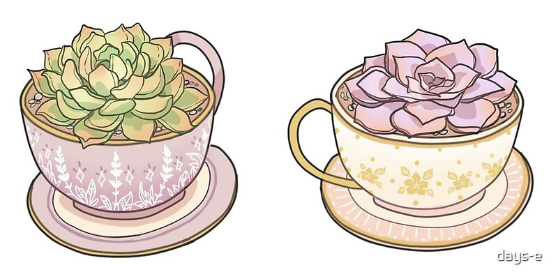 "Succulents & tea cups" by days-e | Redbubble