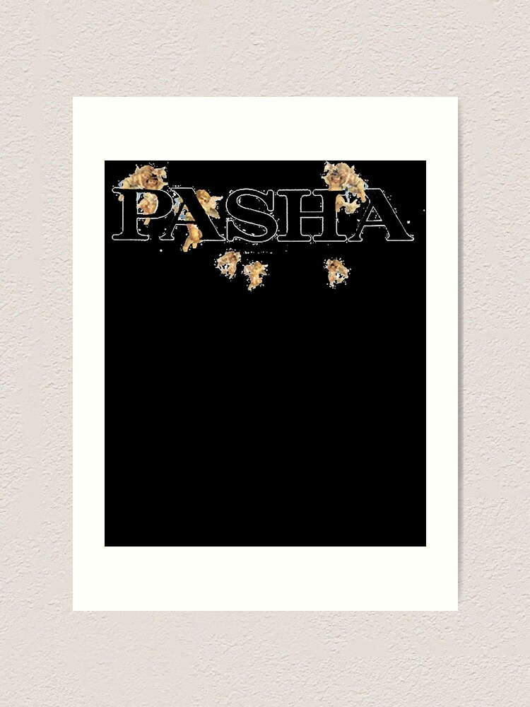 "Pashanim logo " Art Print for Sale by FrancesMullen | Redbubble
