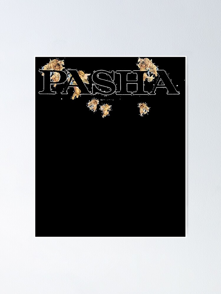 "Pashanim logo " Poster for Sale by FrancesMullen | Redbubble