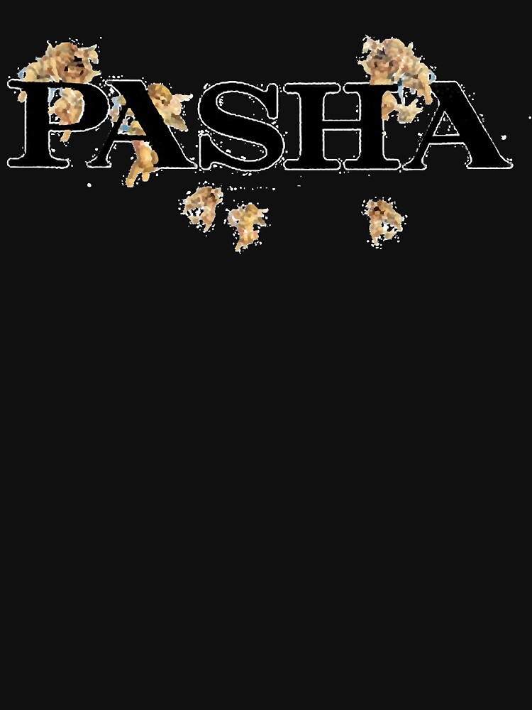 "Pashanim logo " T-shirt for Sale by FrancesMullen | Redbubble ...