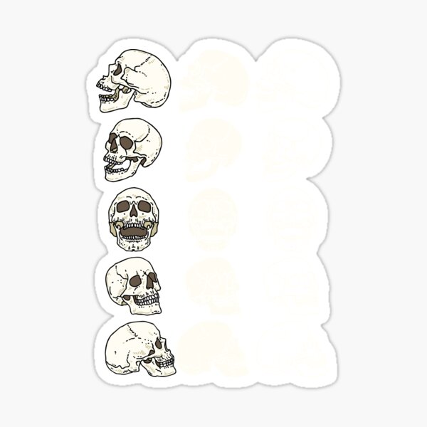"Vintage Skulls Halloween Scary Cool Skeleton Anatomy" Sticker for Sale ...