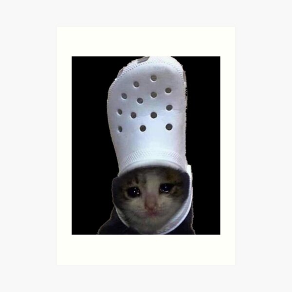 "Crying Cat Croc Meme " Art Print for Sale by LILIANAYOUNGS | Redbubble