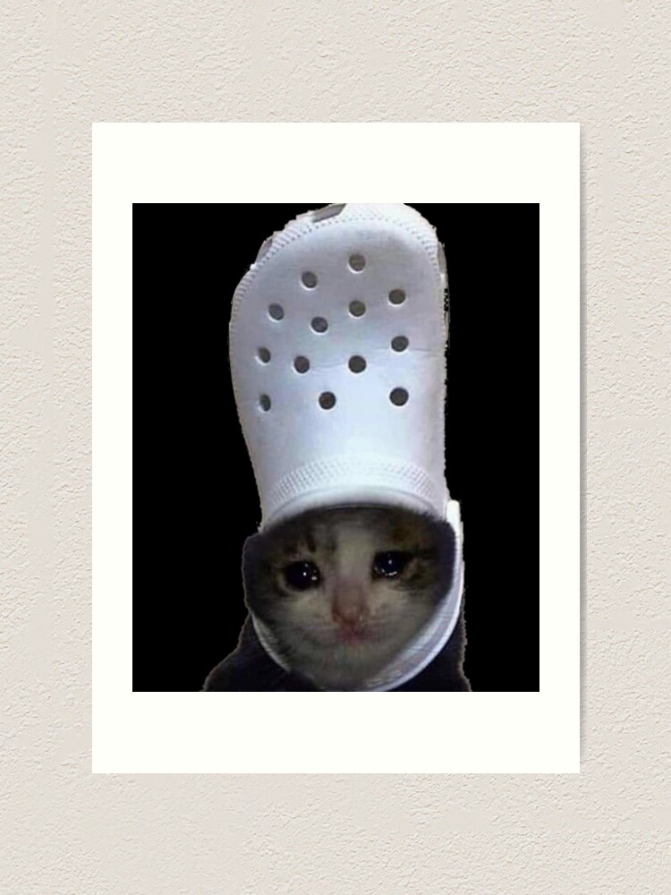 "Crying Cat Croc Meme " Art Print for Sale by LILIANAYOUNGS | Redbubble