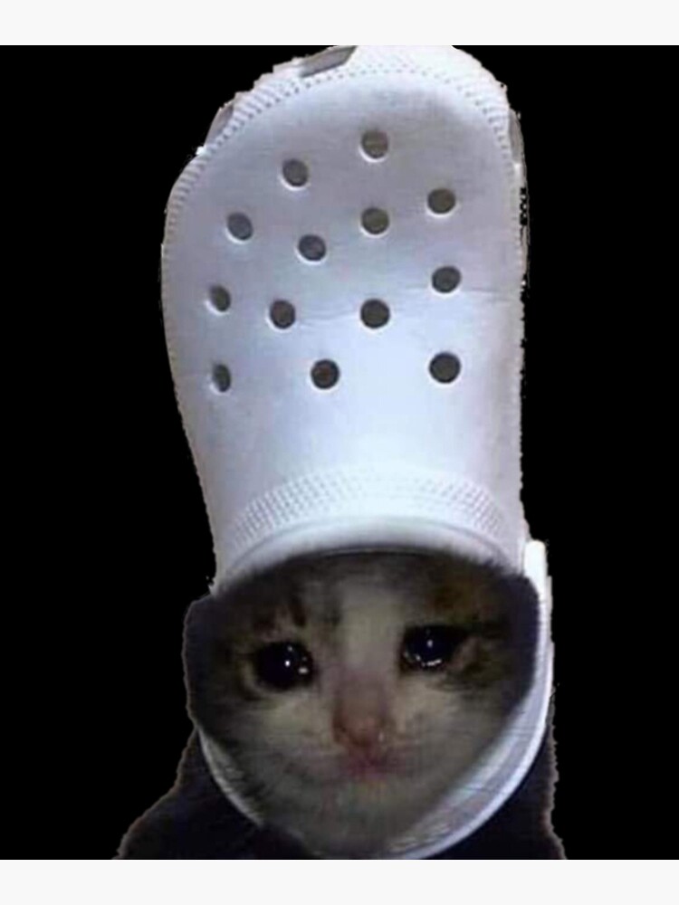 "Crying Cat Croc Meme " Art Print for Sale by LILIANAYOUNGS | Redbubble