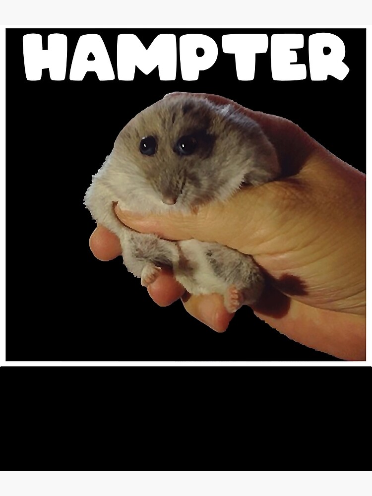 "Hampter Meme Hamster Classic" Poster for Sale by madeleneesbri | Redbubble