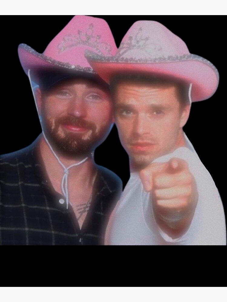 "Chris Evans & Sebastian Stan funny meme" Art Print for Sale by ...