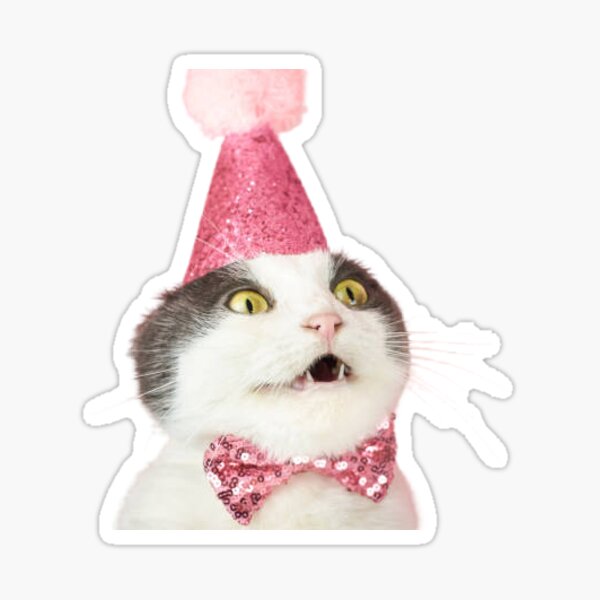 "Pink Party Cat Sticker" Sticker for Sale by Tque | Redbubble