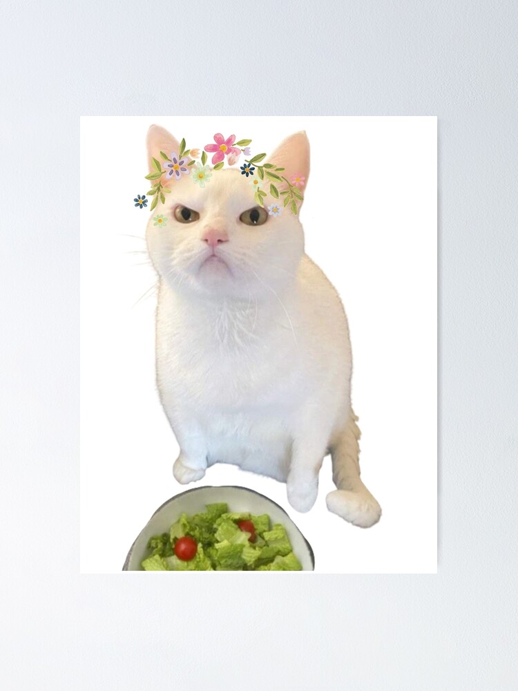 "Hungry and Angry Cat" Poster for Sale by lordstark53 | Redbubble