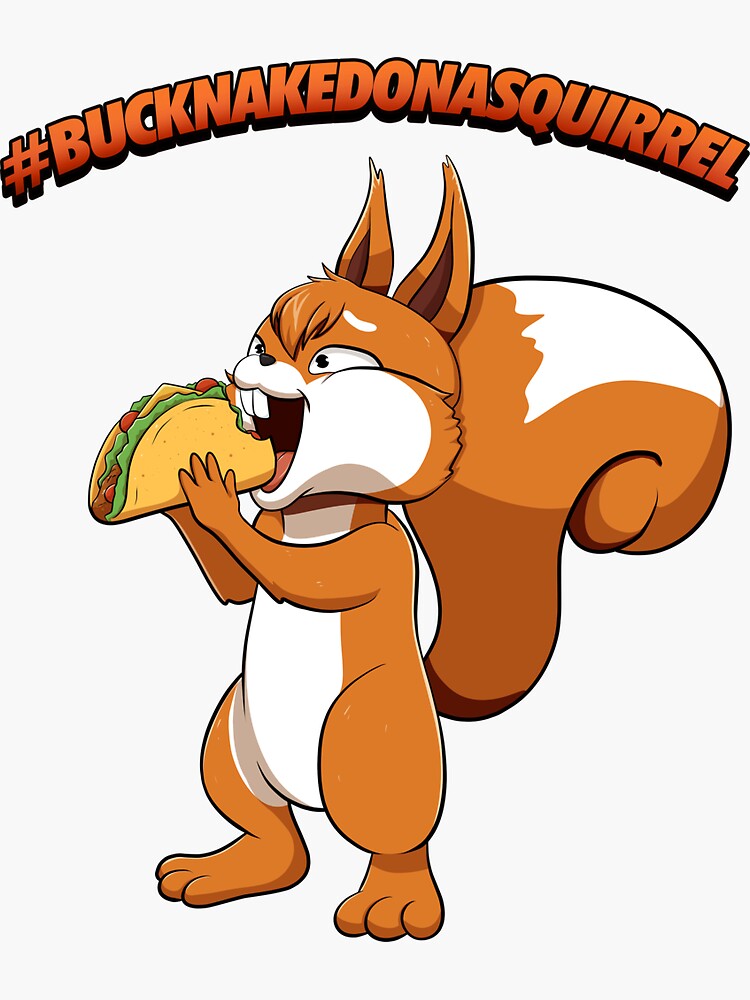 "Bucky squirrel " Sticker for Sale by BuckySquirrel | Redbubble