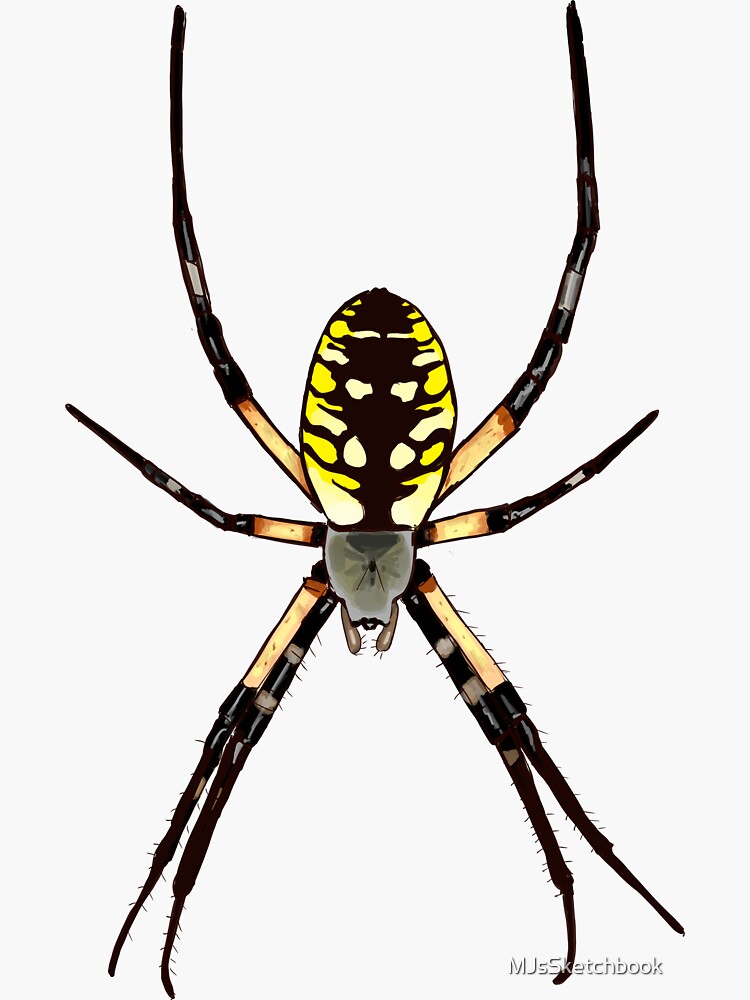 "Yellow Corn Garden Spider Garden Insect Illustration" Sticker for Sale ...