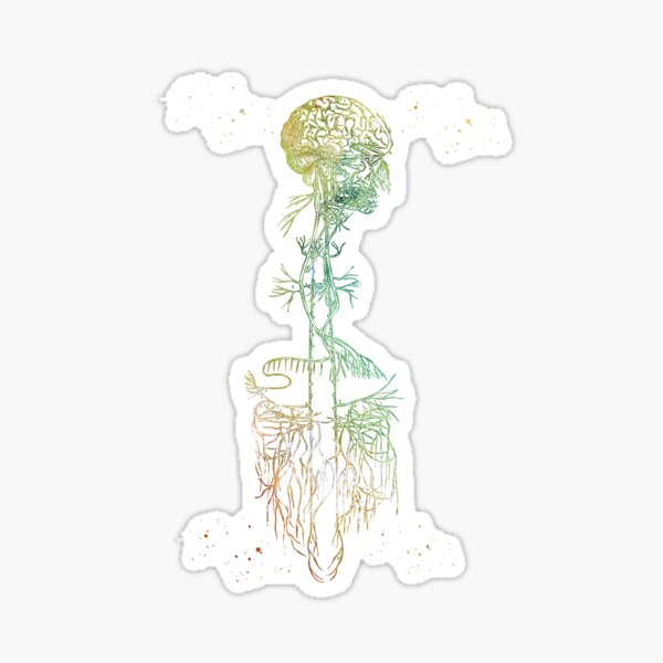"Vagus Nerve Art" Sticker for Sale by erzebetth | Redbubble