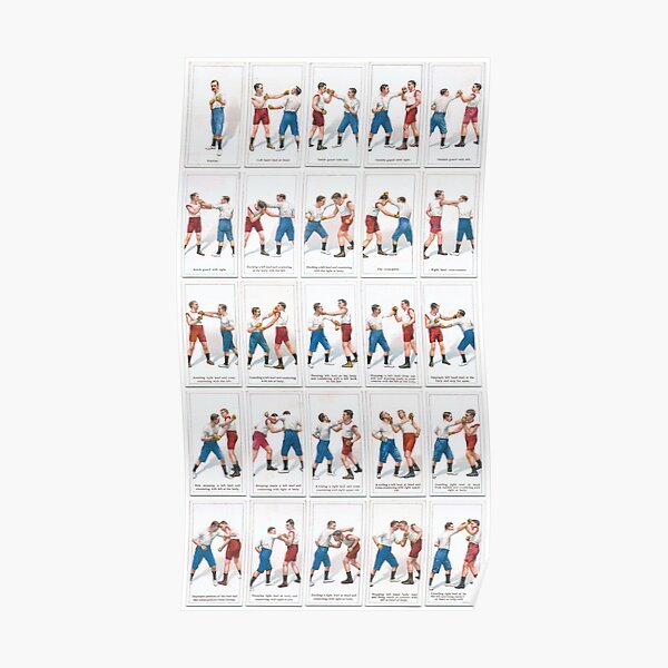 Boxing Training Posters | Redbubble