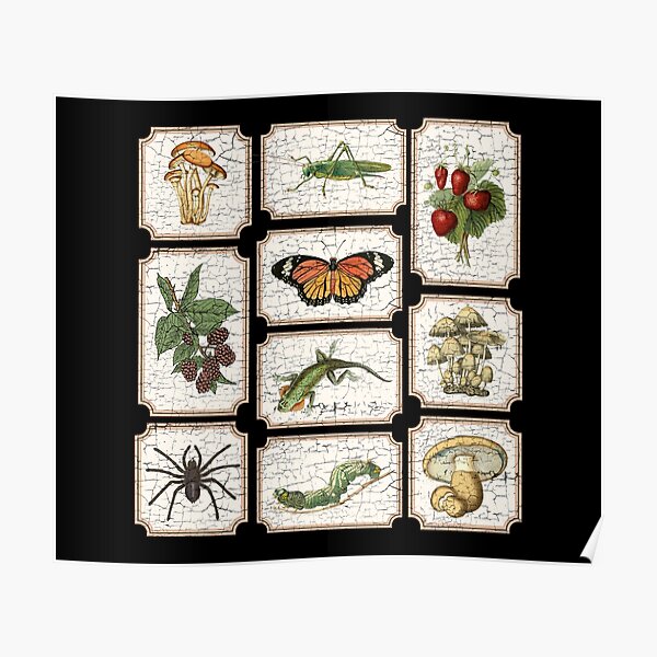 "Goblincore" Poster for Sale by ValentinaHramov | Redbubble