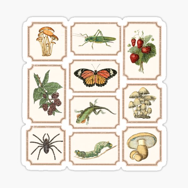 "Goblincore" Sticker for Sale by ValentinaHramov | Redbubble