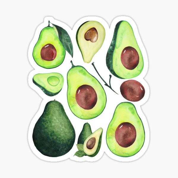 "Watercolor Avocado Pack" Sticker for Sale by virillanissa | Redbubble